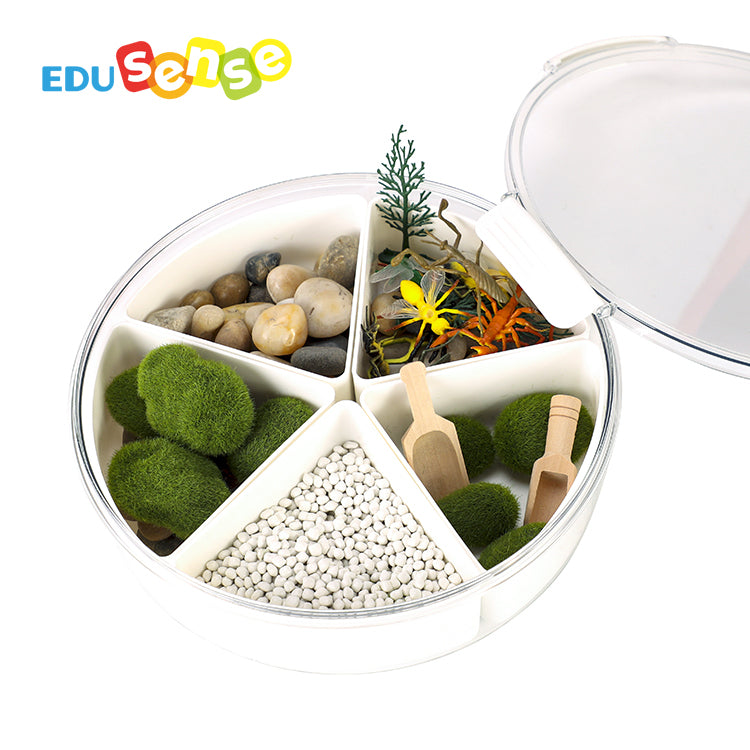 Insects Sensory Kit – Bug Exploration Toy for Kids – Inventors Educational