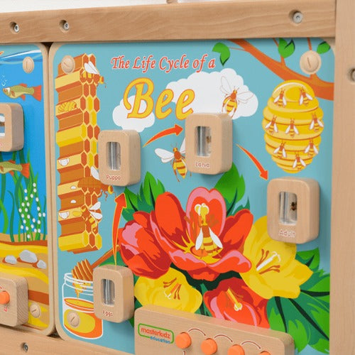 Light-Up Bee Life Cycle Stages Panel – Inventors