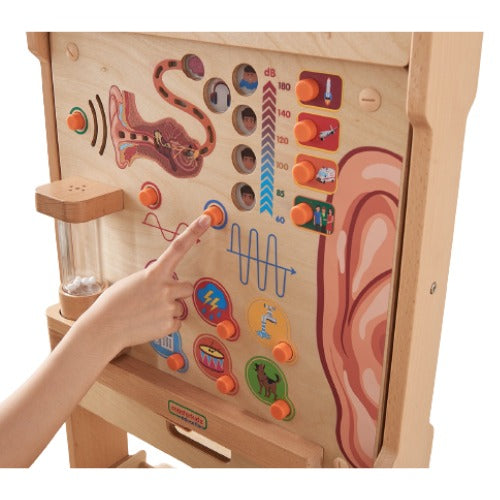 Sense of Hearing – Inventors Educational